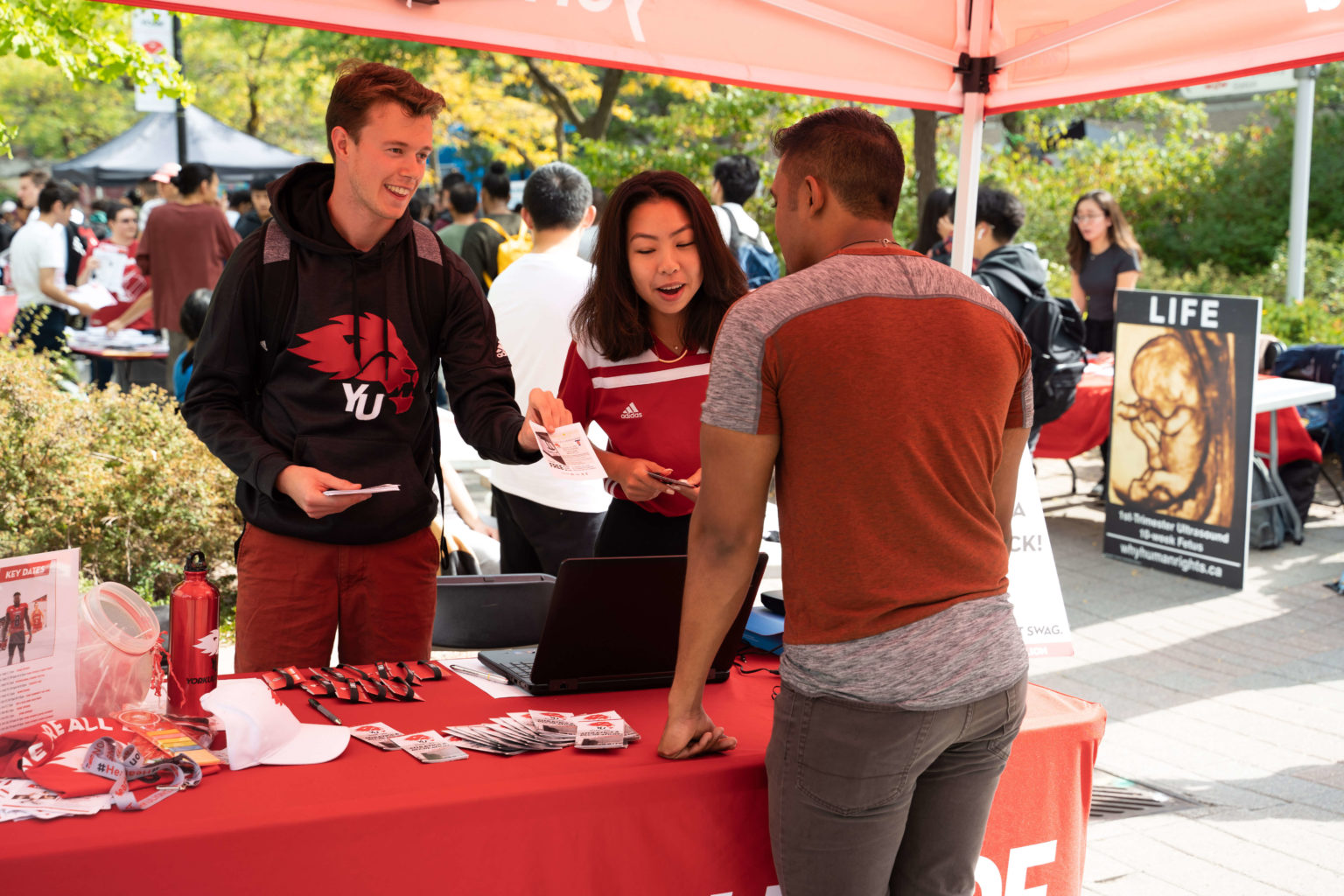 Guide to Success at York University